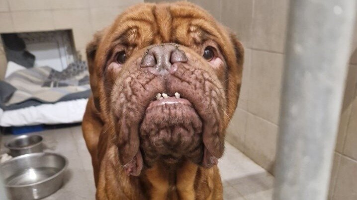 Petition update · Court date fast approaching · Change.org · Change.org