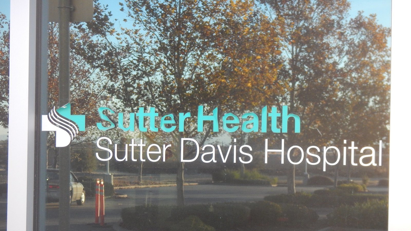 Petition · Save Sutter Davis Trees - End The Tree Removal Loophole ...