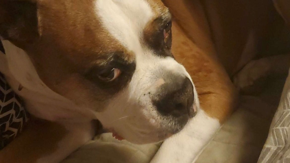 Petition · Make Baxter CEO of Walmart - United States · Change.org