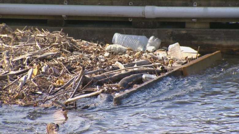 Petition · Have Ottawa fund and work to save the Ottawa River from ...