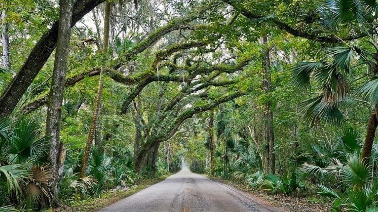 Petition · Help Save the Ormond Beach Loop - Ormond Beach, United ...