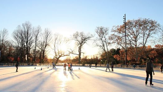 Petition · Free Ice Skating Hours at Lefrak Center Rink in Prospect ...