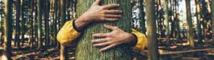 Petition · BAN DEFORESTATION TO SAVE THE NATION FROM POLUTION ...