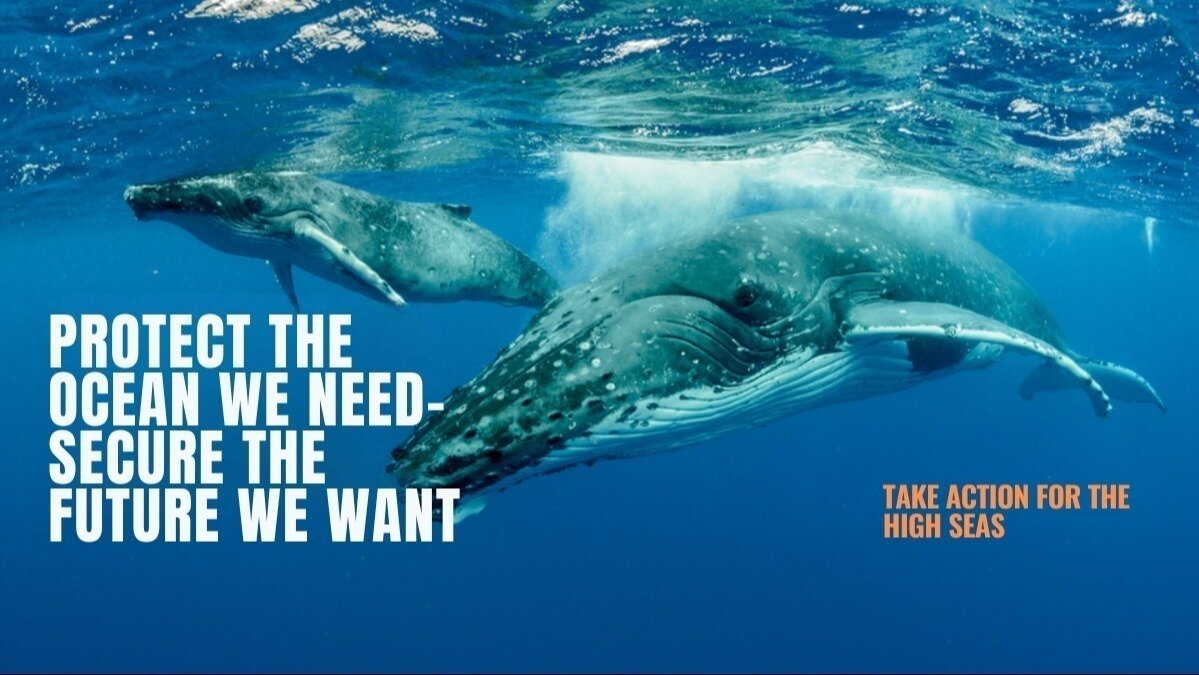 Petition · Urge the Government of India to Sign and Ratify the High ...