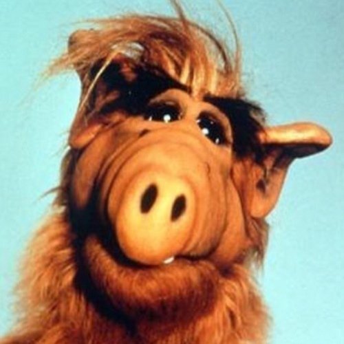 Petition · Bring back ALF to TV - Canada · Change.org