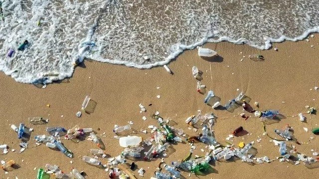 Petition · Stop the Beach Pollution!!! - United States · Change.org