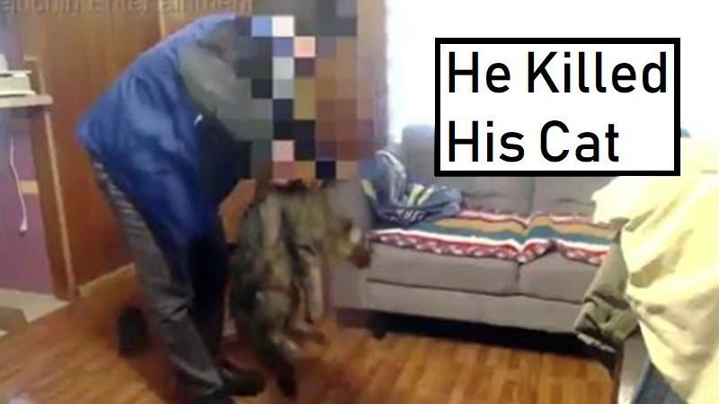 Petition · Remove Peluchin Entertainment's Channel From YouTube ...