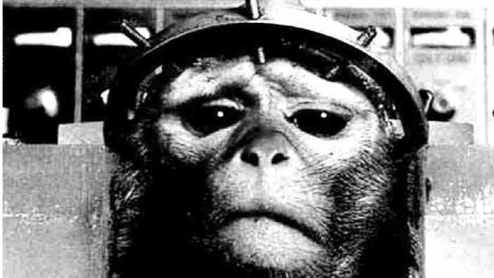 Petición · No more experiments with animals - México · Change.org