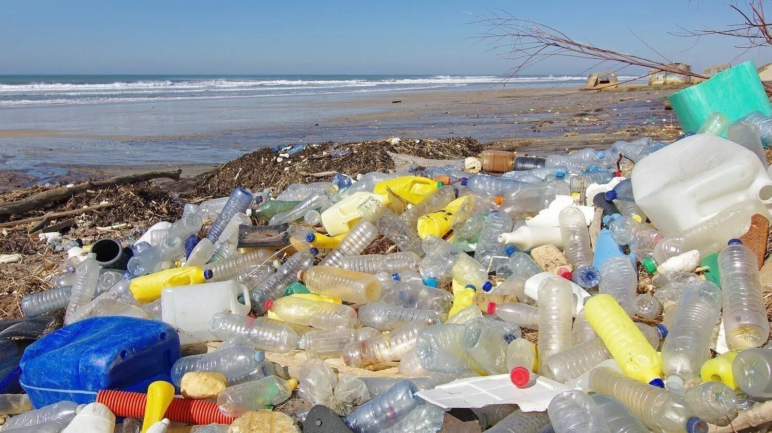 Petition · Urgent Appeal for Proper Waste Segregation and Reduced ...