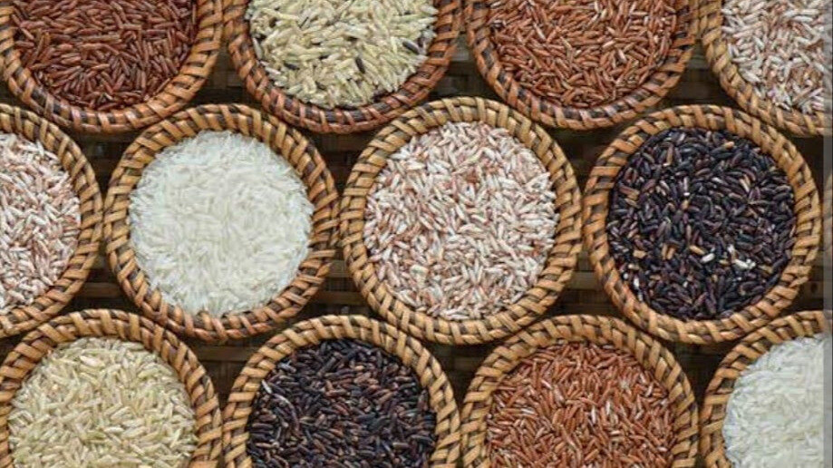 Petition · Protect India's Rice Diversity - Let's save our Health ...