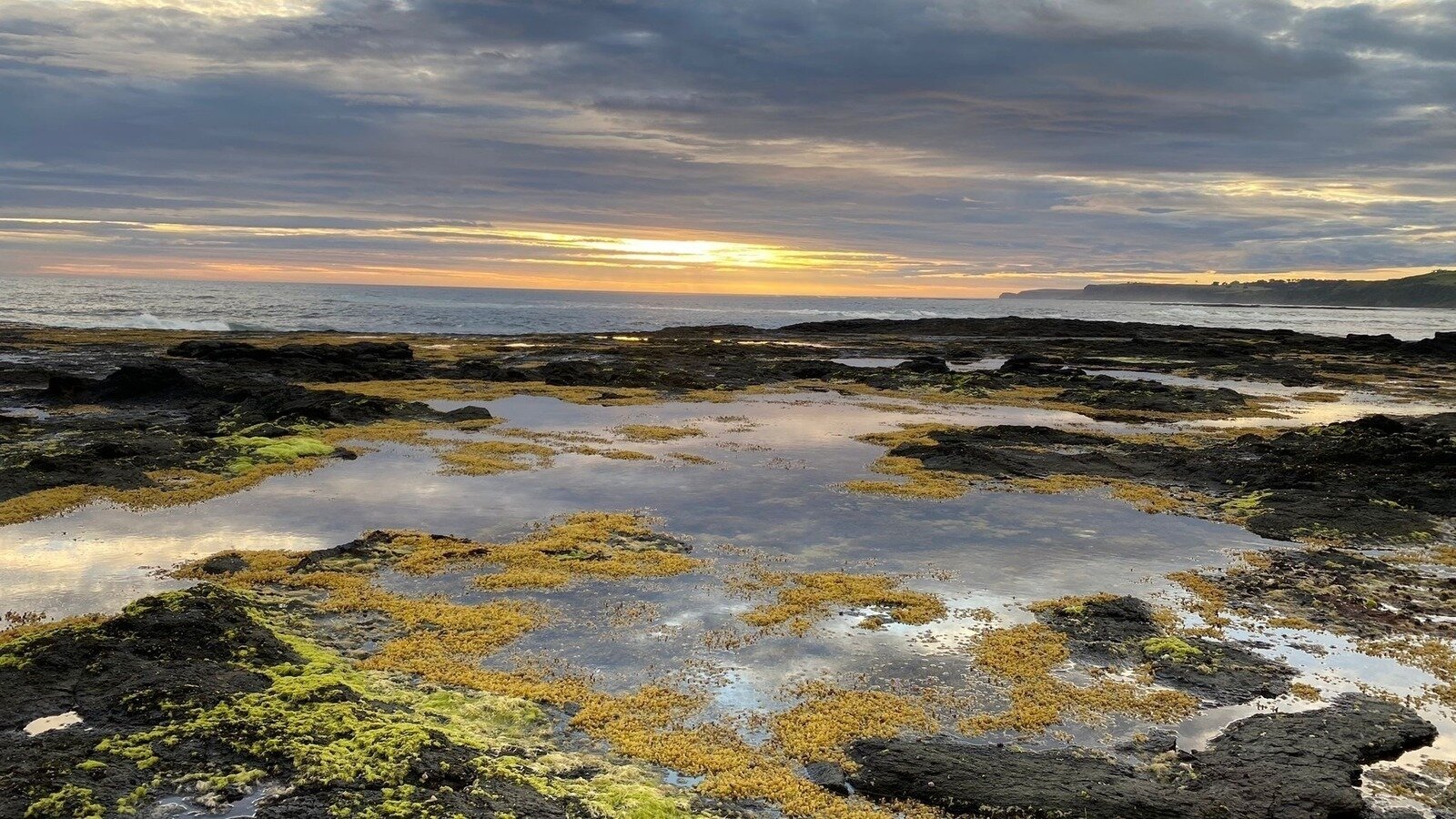 Petition · Save our MP Climate Emergency Plan - Australia · Change.org