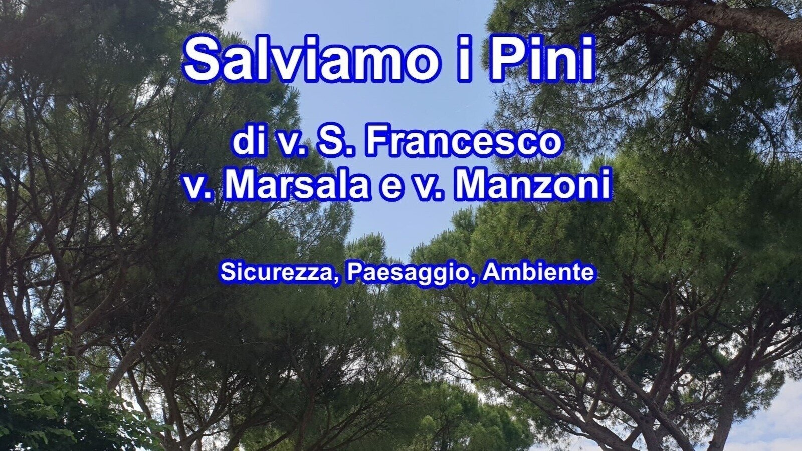 Petizione · Salviamo i Pini di v. S. Francesco, v. Marsala e v. Manzoni ...