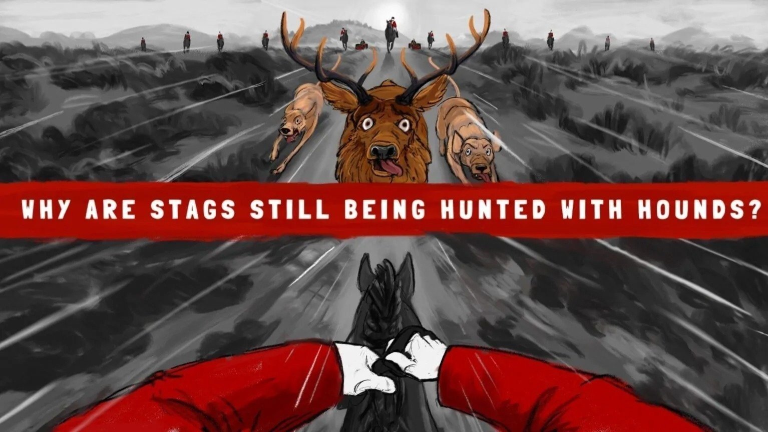 Petition update · NEW ANIMATION! HELP US END STAG HUNTING FOR GOOD ...