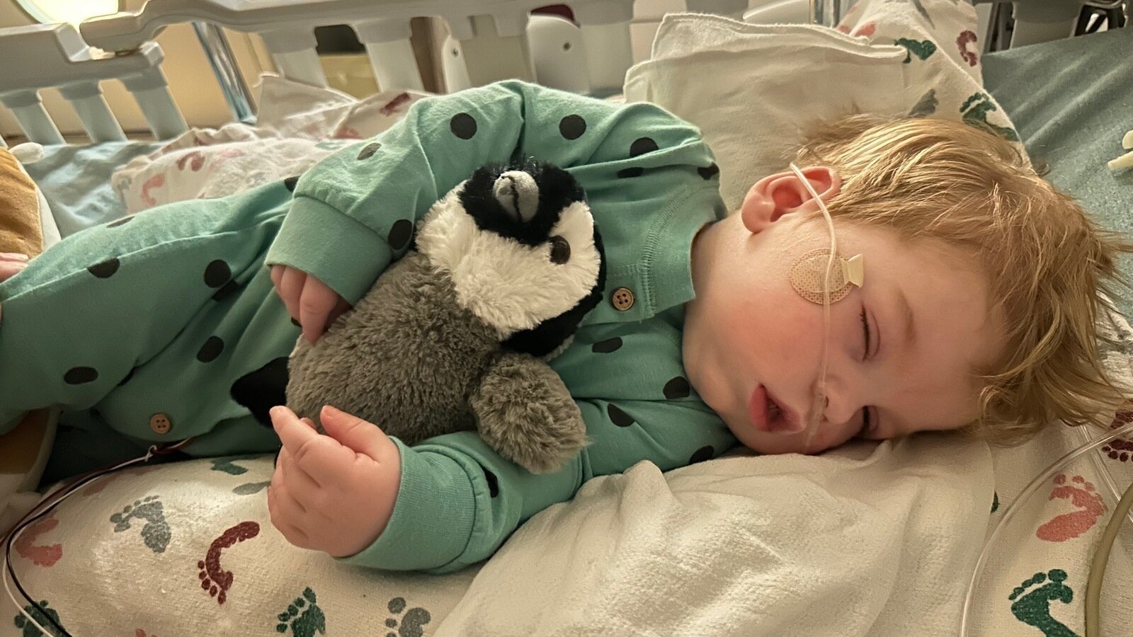 Petition · Enable Qualified Parents to Services for Their Medically ...