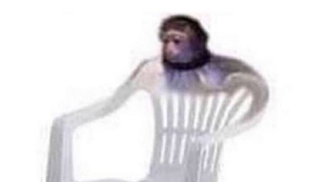 Petition · Bring monkey chair home - United States · Change.org