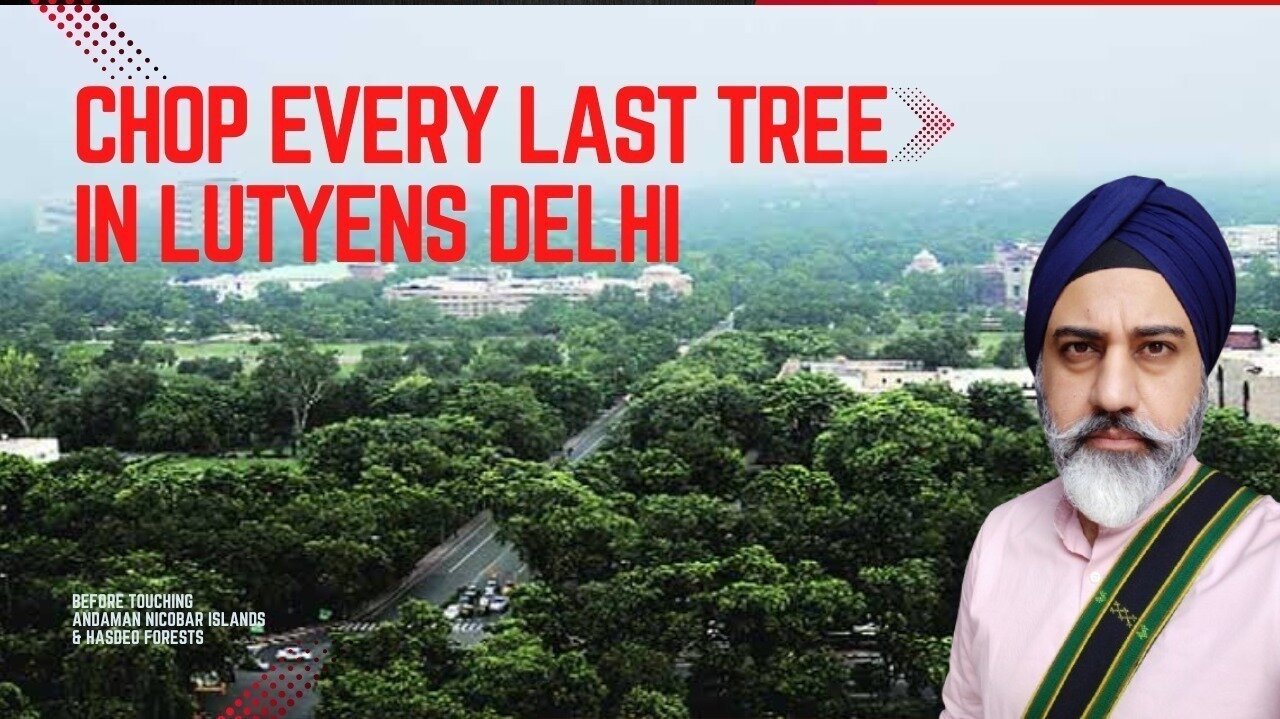 Petition · Chop Every Tree in Lutyens Zone Before Deforestation in ...