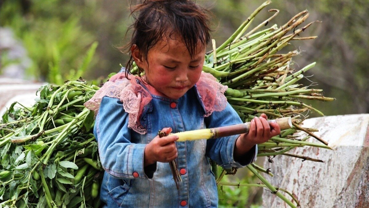 Petition · Demand Justice for Children, End Child Labor - Mangatarem ...