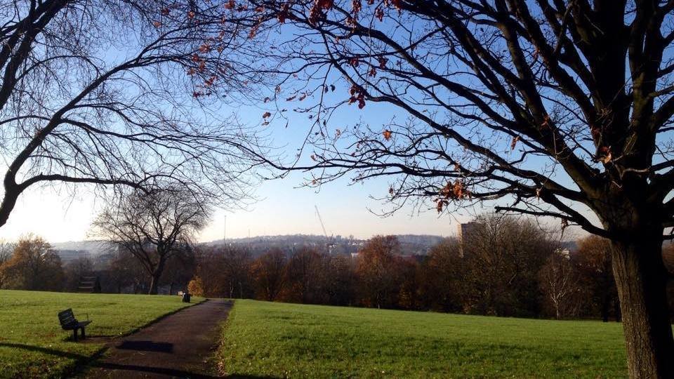 Petition · Ask the Council to approve the cafe in Mountsfield Park now ...