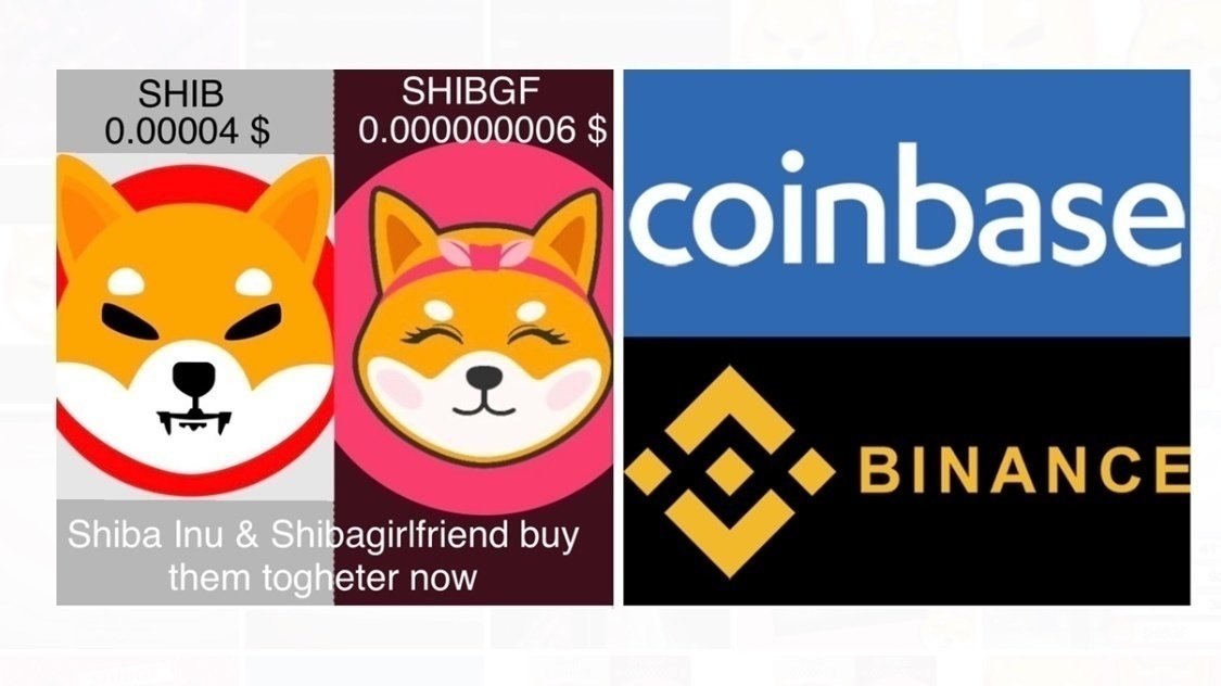 Petizione · Petition for Shibagirlfriend (SHIBGF) listed in Binance and ...