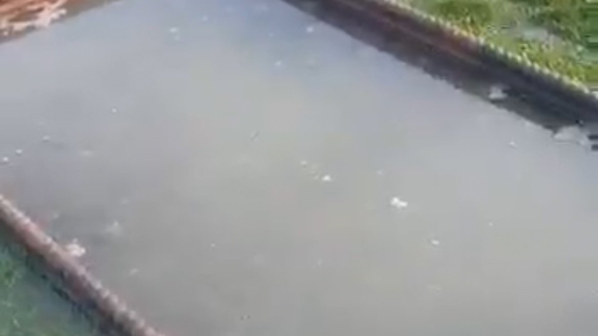 Petition · STOP THE WATER FROM ADJOINING FIELD FLOODING THE GRAVES AT ...