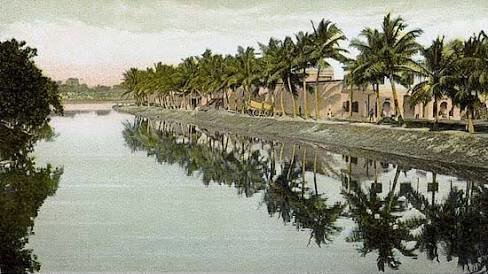 Petition · Save the Cooum and Adayar rivers which the nature cleaned by ...