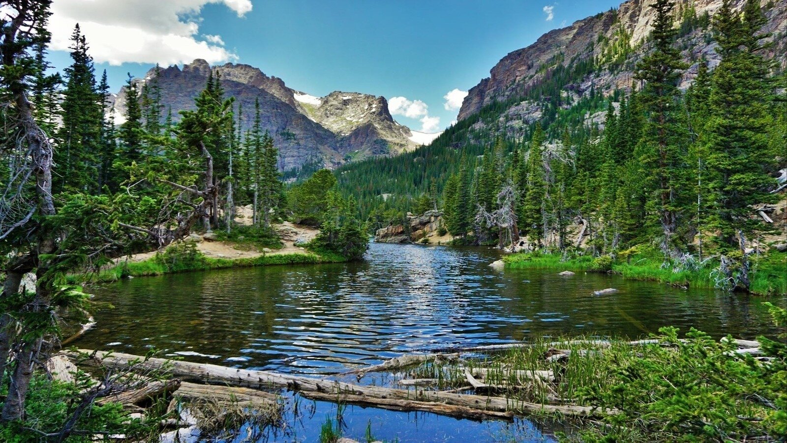 Petition · STOP THE SALE of Millions of Acres of Protected Federal Land ...