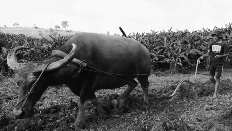 Petition · Calling for Action: Increasing Wages for Filipino ...