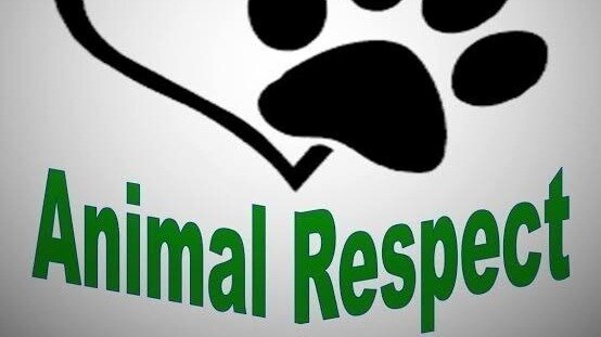 Petition · Animals Respect - San Juan, Philippines · Change.org