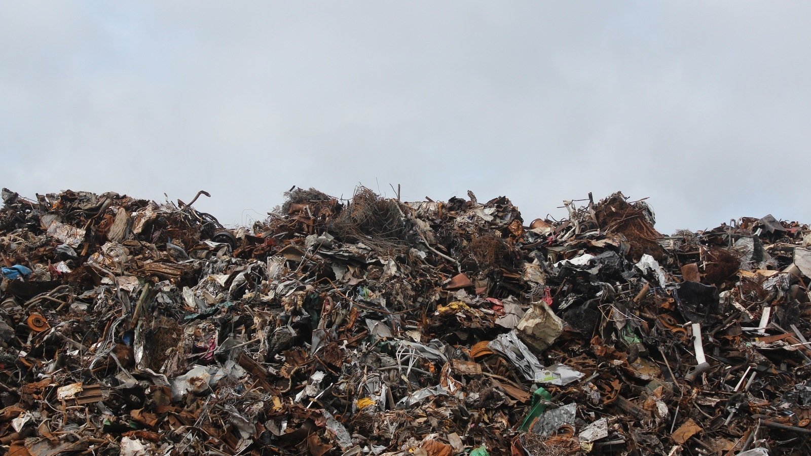 Petition · Canada Should Stop with Waste... - Canada · Change.org