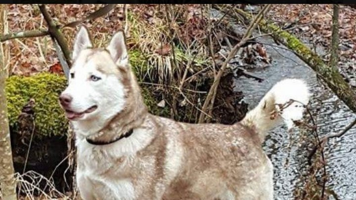 Petition · Maximum Sentence for Brutal Slaughter of Lexi - United ...