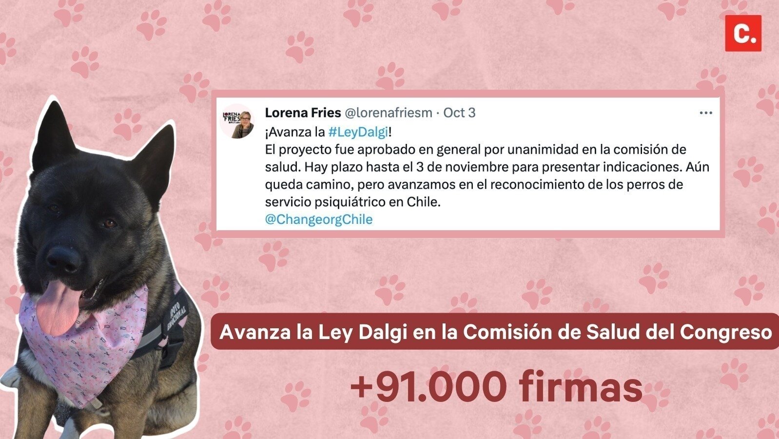 Petition update · Ley Dalgi avanza en la Comisión de Salud · Change.org ...