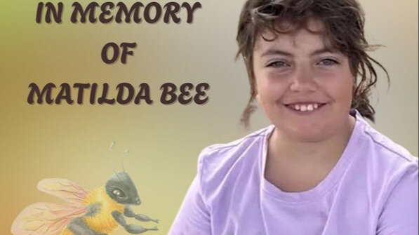 Petition · Rename 'Bondi Park Playground' to 'Matilda Bee Playground ...
