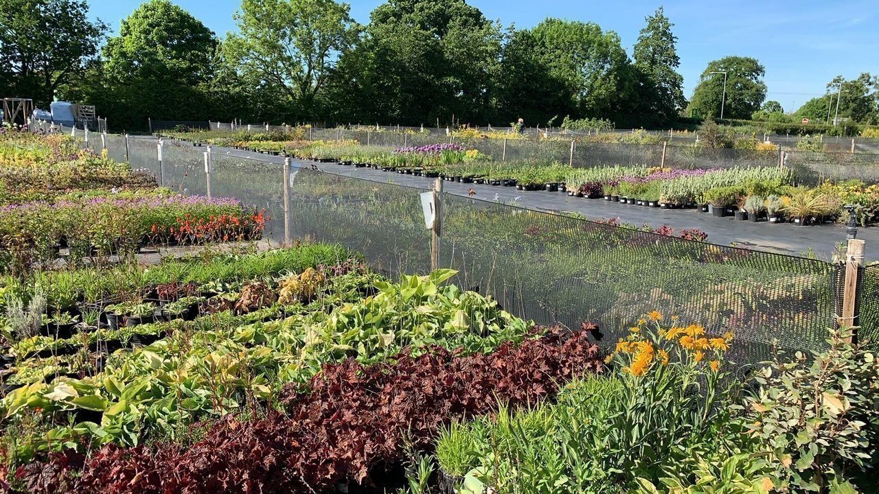 Petition · Establish a Minister for Horticulture position in the UK ...