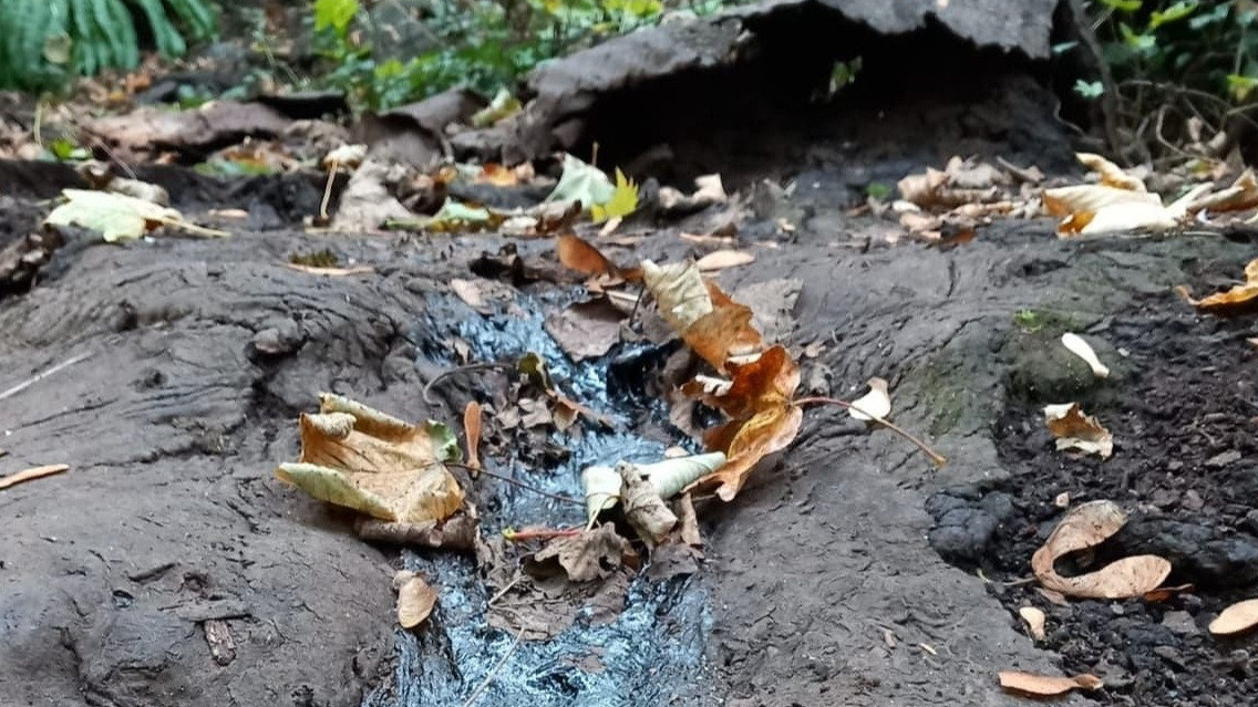 Petition · Rid Nightingale Valley of its Leaking Tar Barrels - United ...