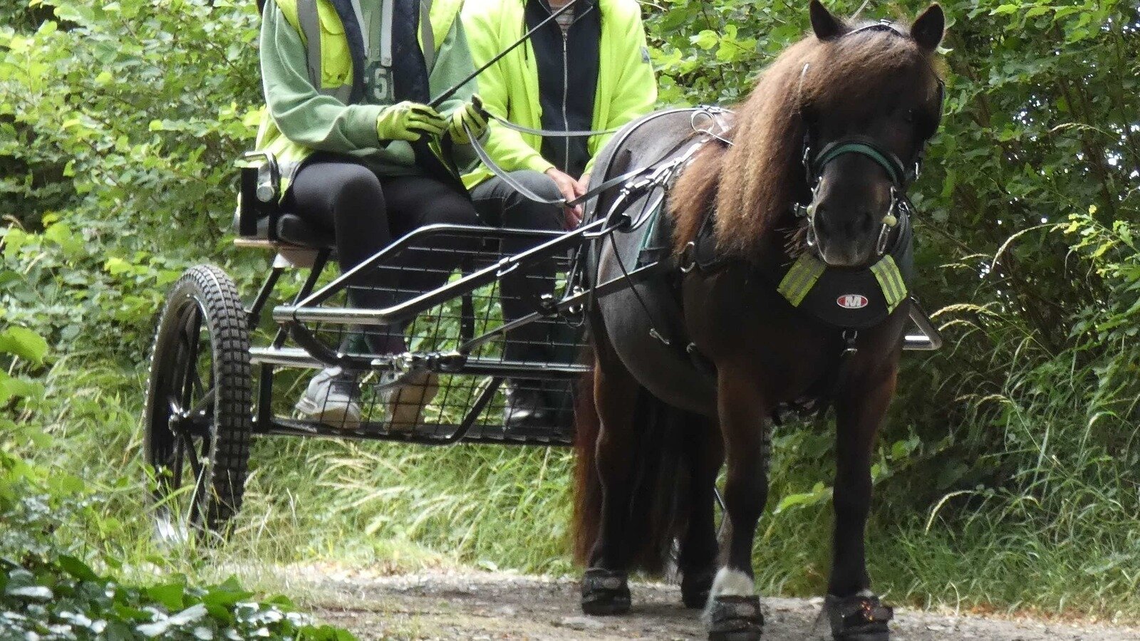 Petition · Allow carriages on public bridleways - United Kingdom · Change.org