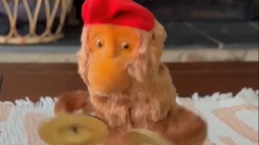 Petition · Eliminate Jake's Cursed Monkey effigy - Concord, United ...