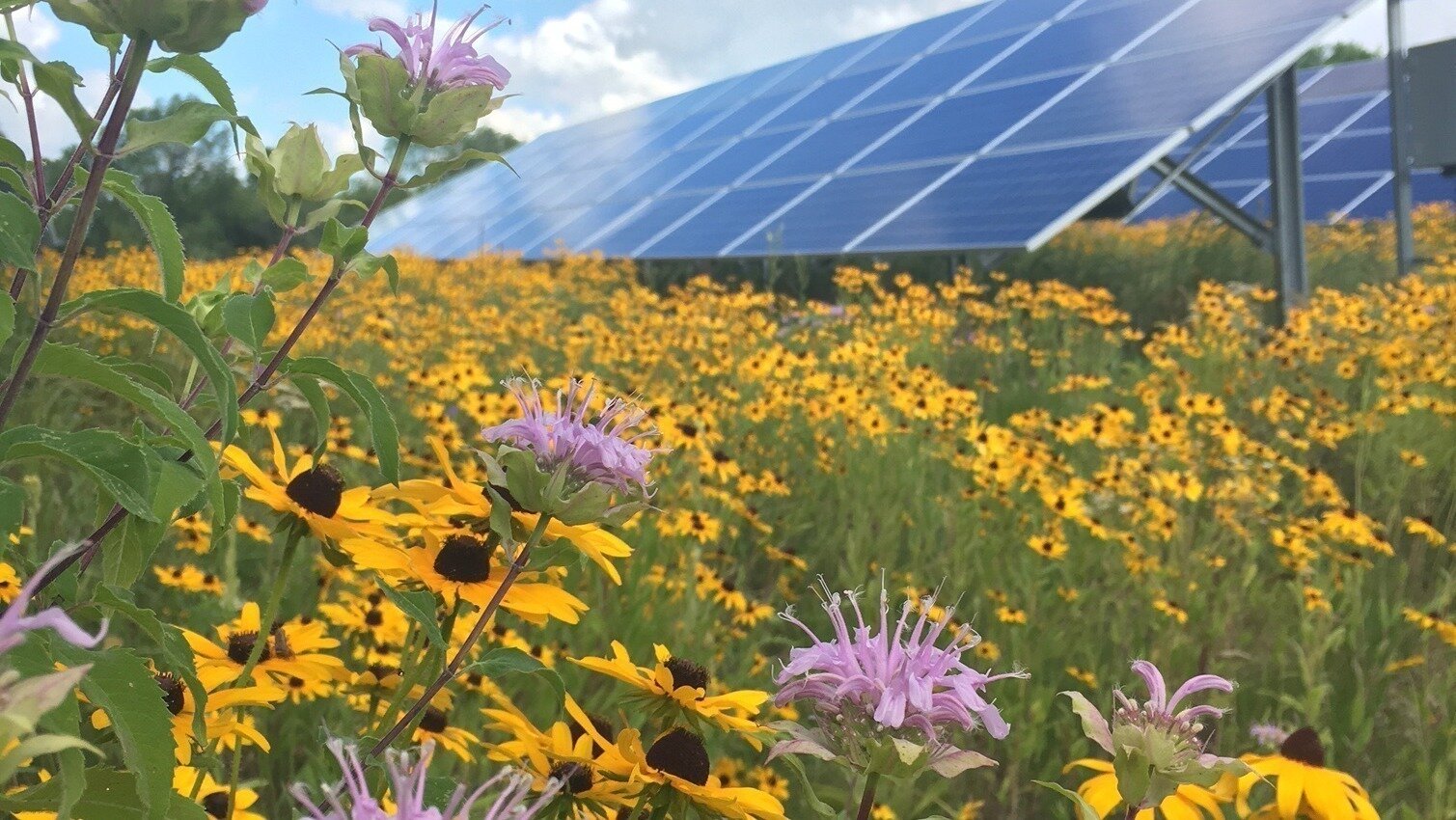 Petition · Support Tippecanoe County Farmers and Responsible Solar ...