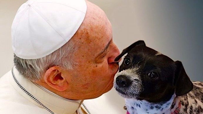 Pétition · Letter to His Holiness Pope Francis about our cousins, the ...