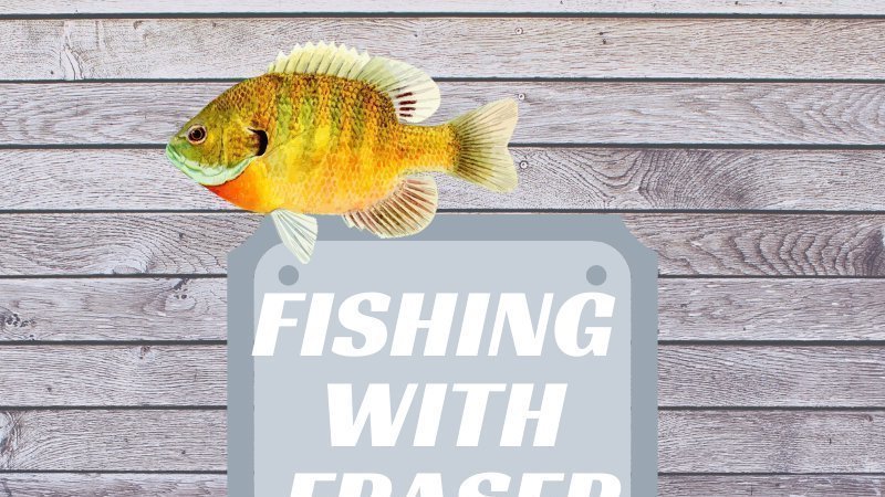 Petition · to help people catch fish · Change.org