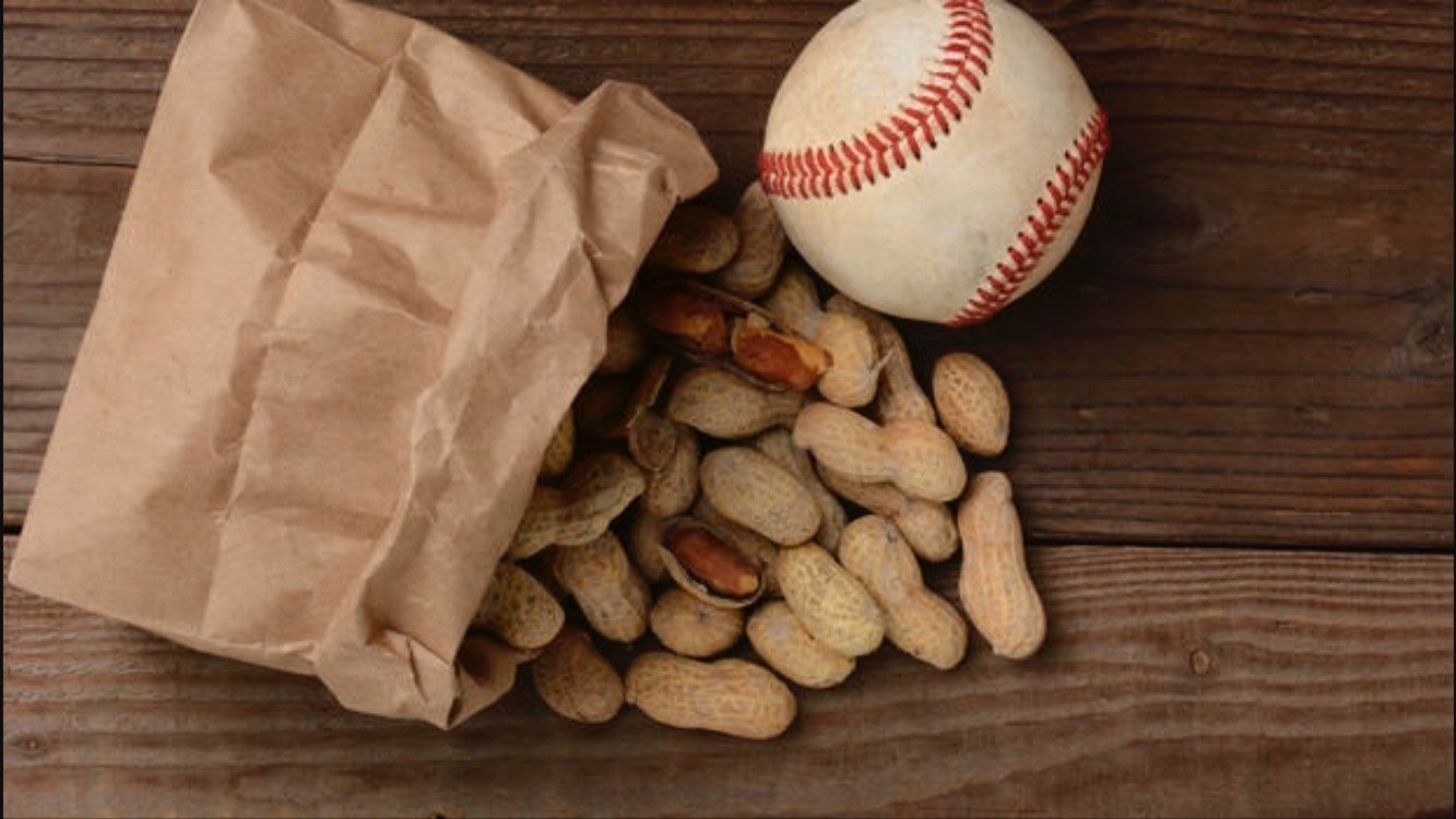 Petition · No more peanuts at ballgames! - Canada · Change.org