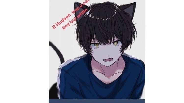 Petition · To make Hudson into a cat boy - Australia · Change.org