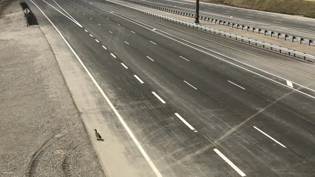 Petition · Open the Highway 427 Extension - Canada · Change.org
