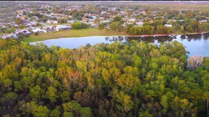 Petition · Help protect Thornhill Rock pineland forest - United States ...