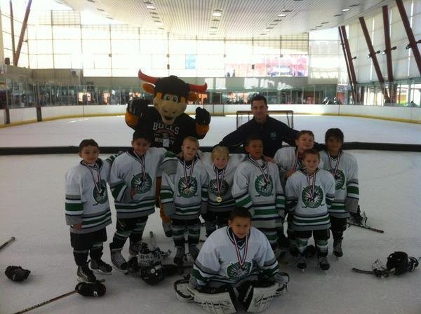 Petition · Save Oak Park Ice Arena! - Stockton, United States · Change.org