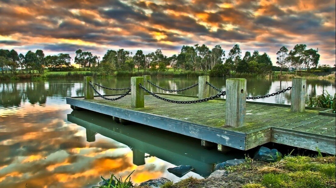 Petition · Appeal on behalf of entire Australian Multicultural ...