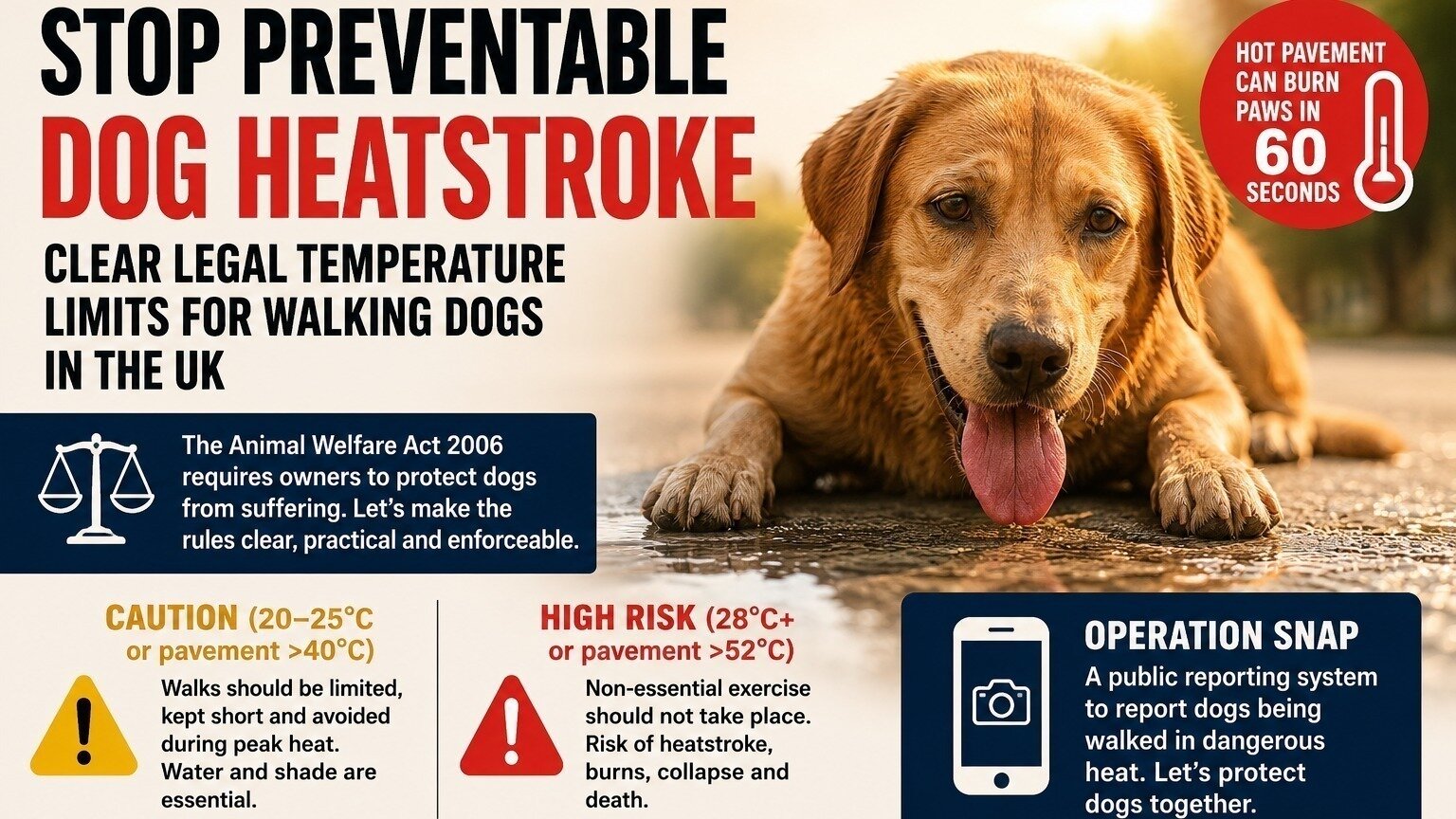 Petition · Stop Preventable Dog Heatstroke: Introduce Legal Temperature ...