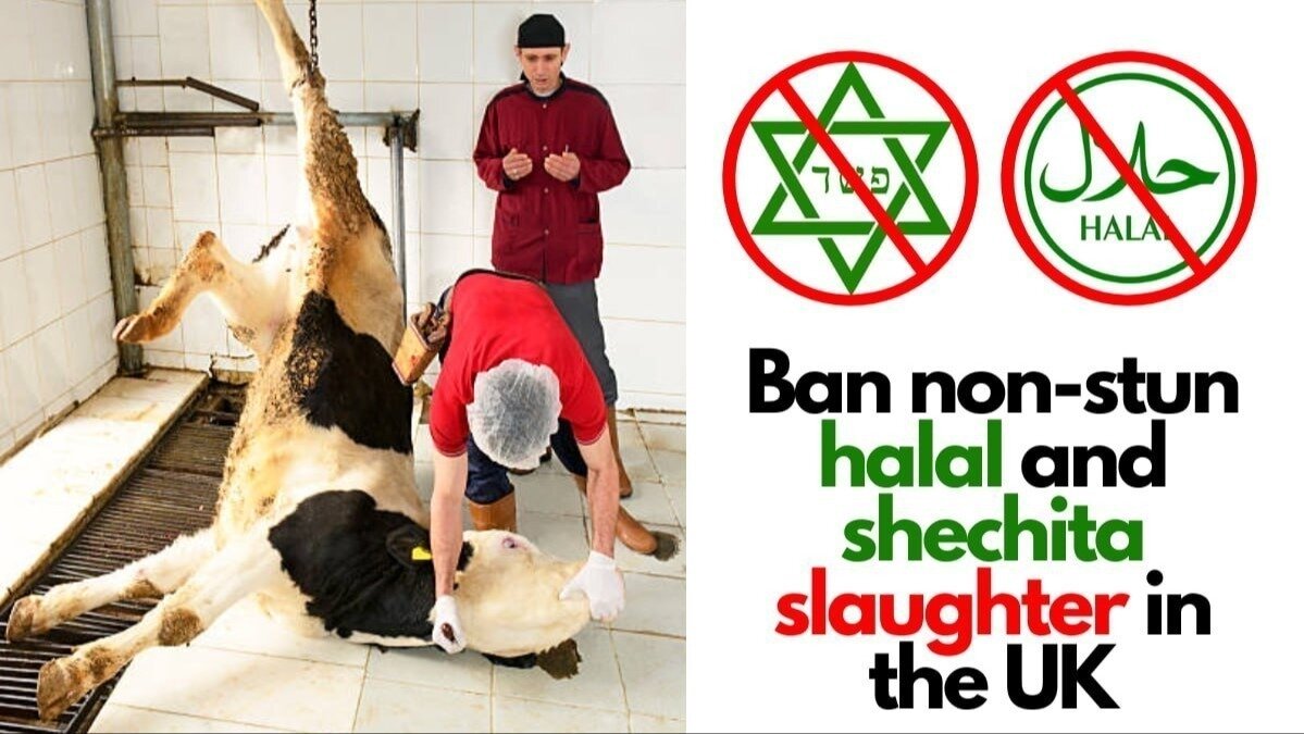 Petition · End Non-Stun Religious Ritual Slaughter in the UK - United ...