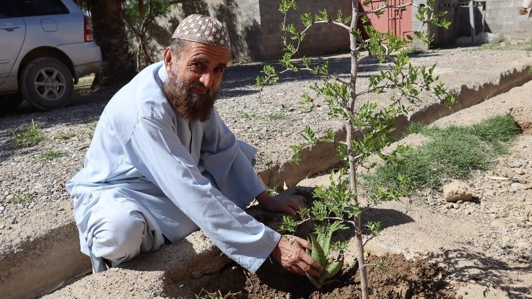 Petition · Mr. Abdul Hamid Helmandi: Encouraging & Supporting Private ...