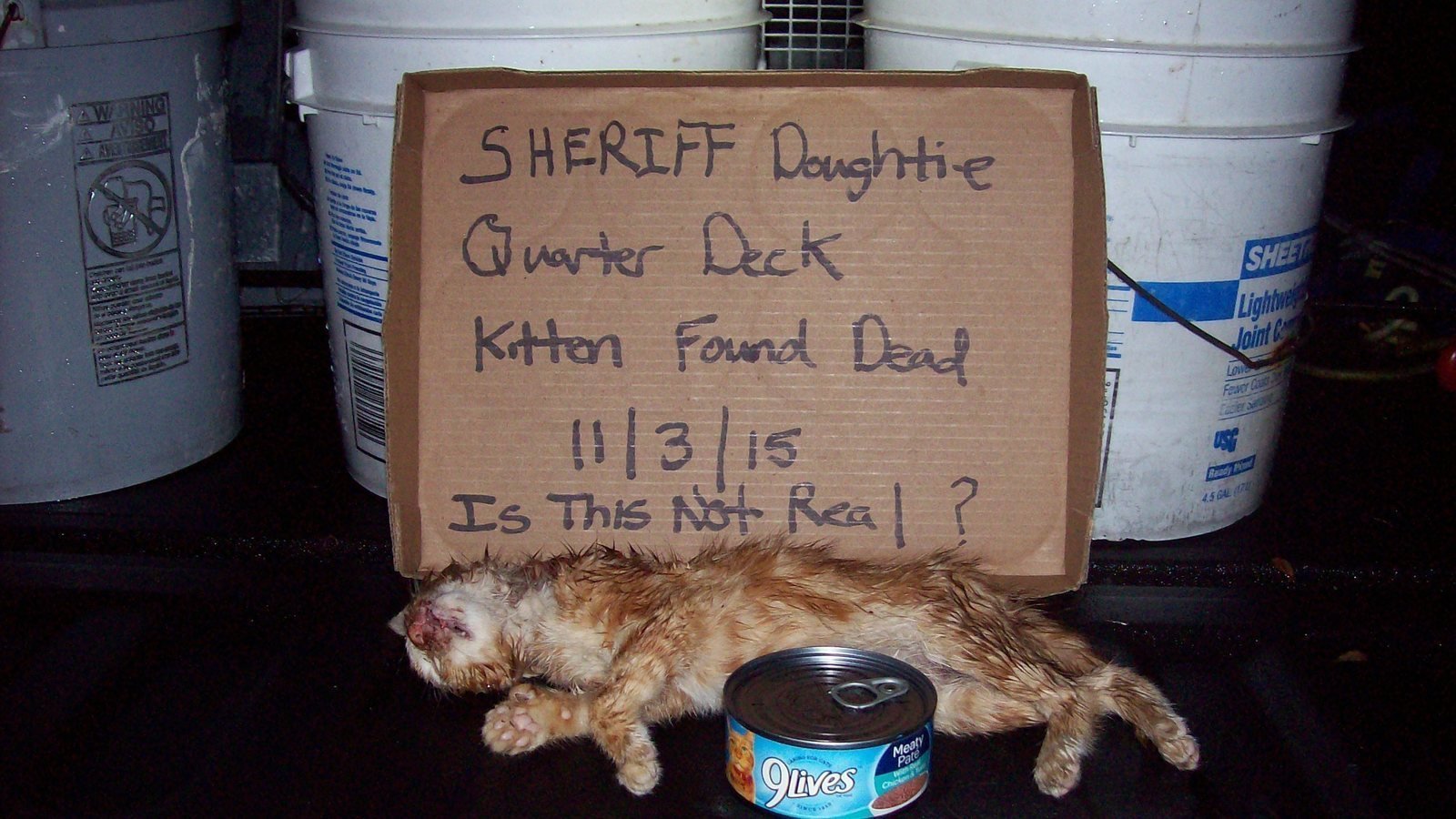 Petition update · THESE CORRUPT PEOPLE DESTROYED OUR LIVES JUST FOR ...