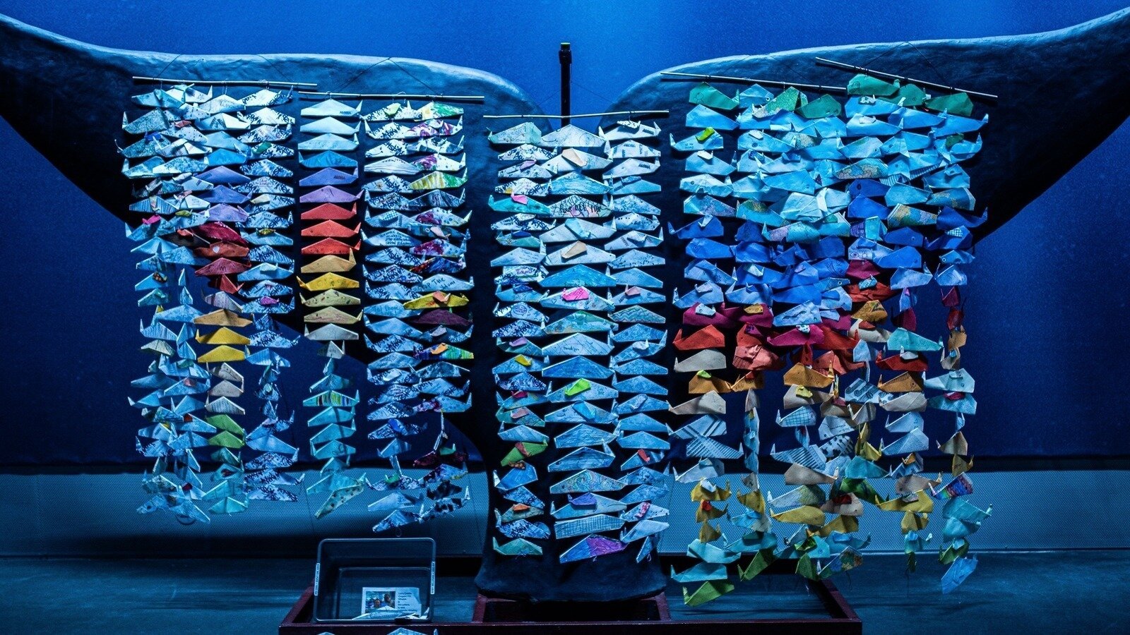 Petition update · Will the new Minister ban whaling? · Change.org ...